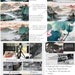 Extra Long Horizontal Five Oxen, Han Huang, Tang Dynasty, 五牛圖 唐代 韩滉 ...