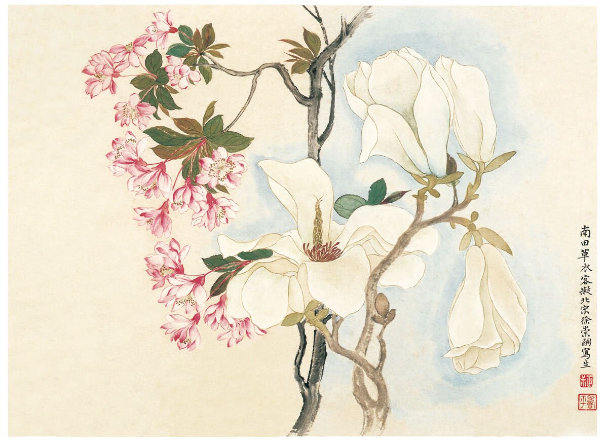 Chinese Boneless Painting, Flower Art Silk Prints, 没骨 Chinese Botanic ...
