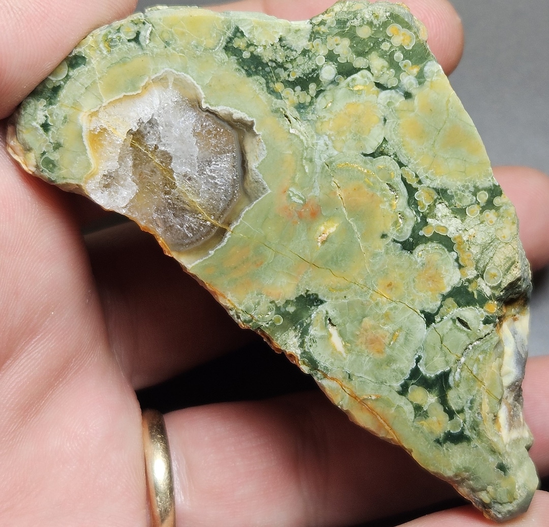 Rainforest Jasper - Rhyolite Mineral Display Specimen Natural Polished ...