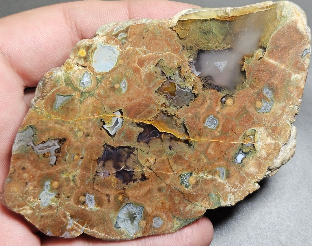 Rainforest Jasper, Rhyolite Mineral Slab Specimen Natural Stone ...