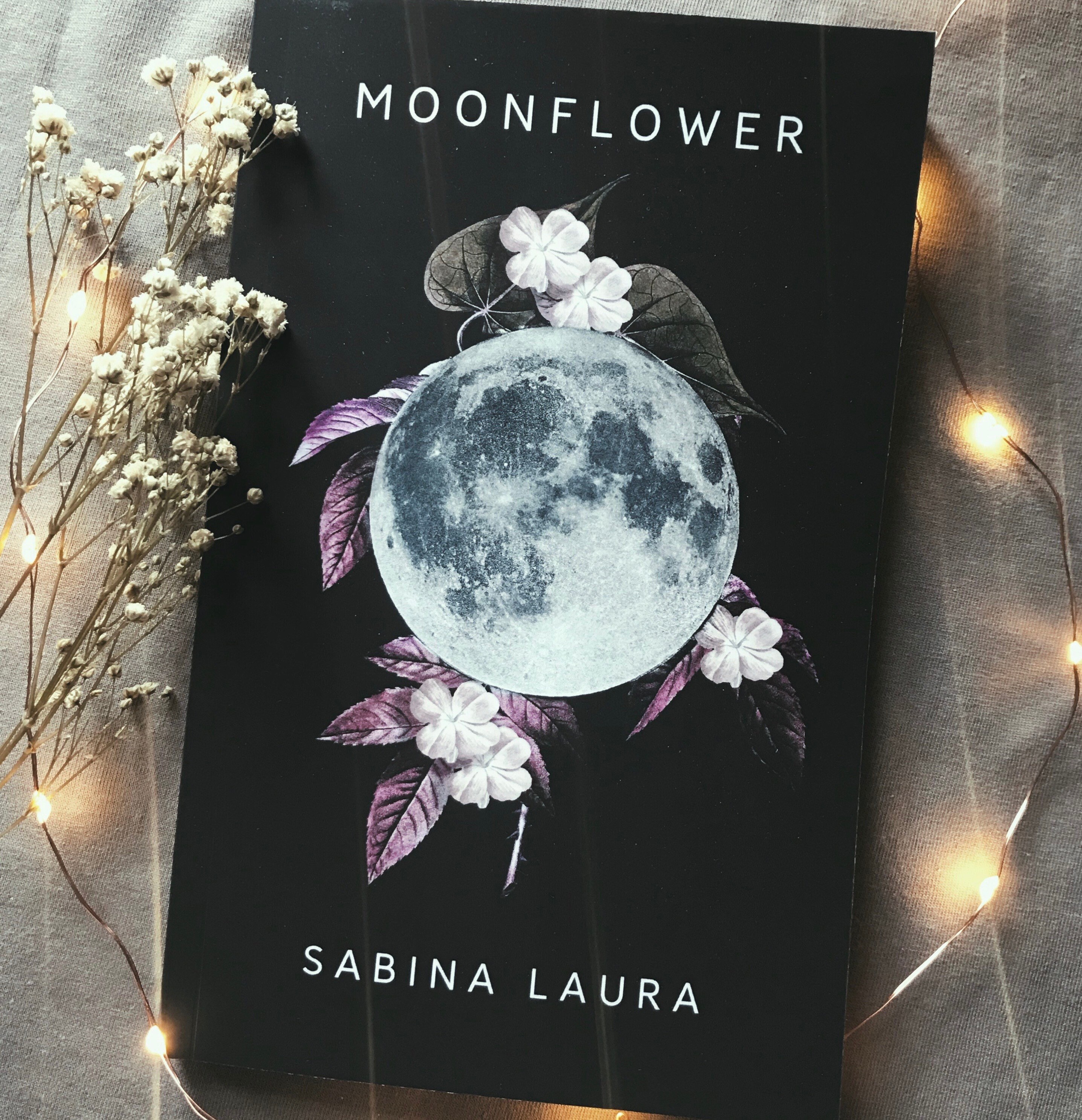 Signed Poetry Book Bundle (four Books, Save 20%) - Sabina Laura - Etsy
