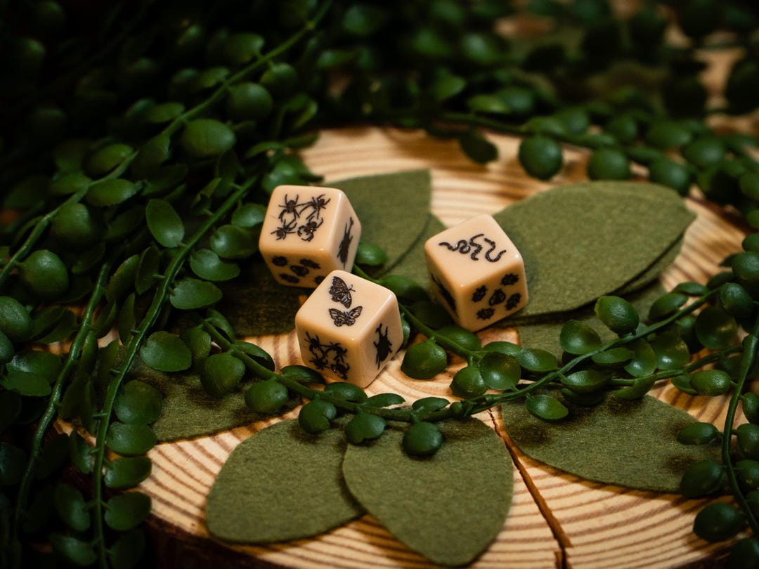 Bug-themed Dice Set – Engraved Insect D6 - Etsy