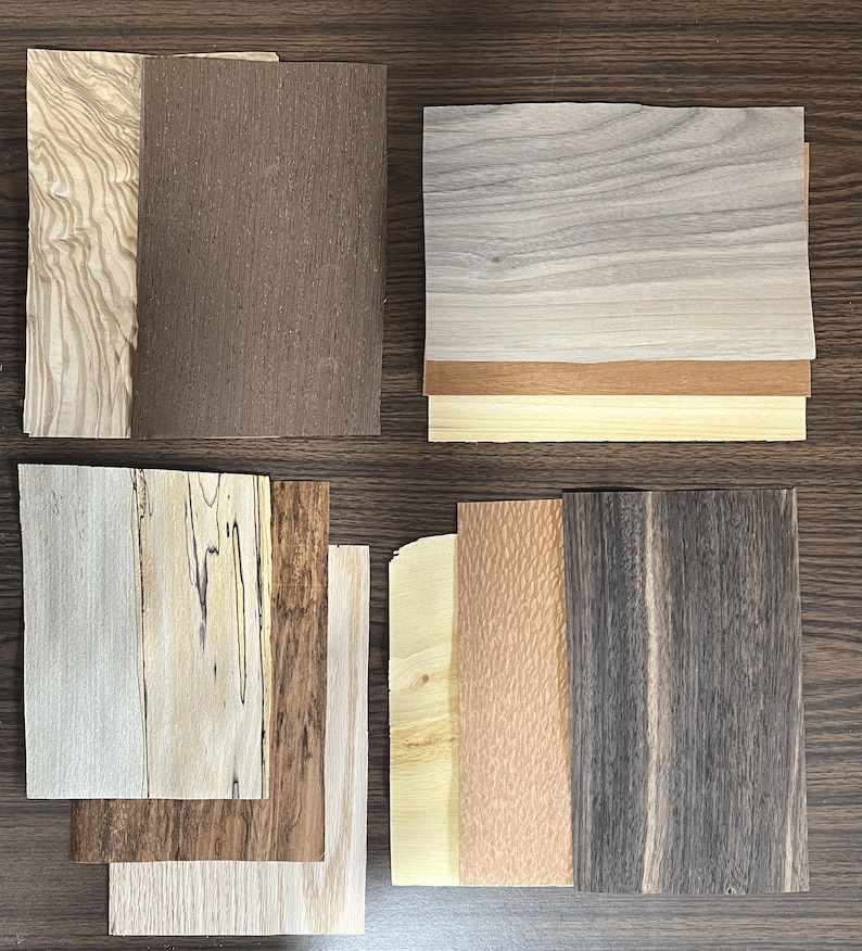 Exotic & Domestic Veneer 10 Piece Variety Pack 1/42" Thick - Etsy