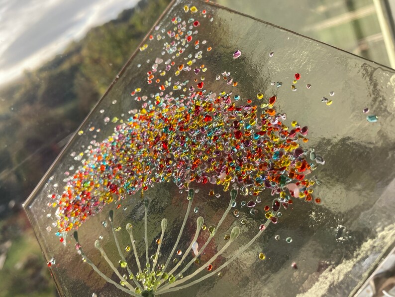 Cheerful Multicoloured Allium Flower Fused Glass Art Picture - Etsy