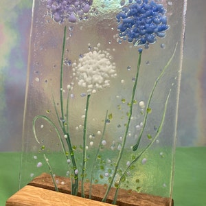 Cheerful Allium Family of Flowers Fused Glass Art Picture With - Etsy