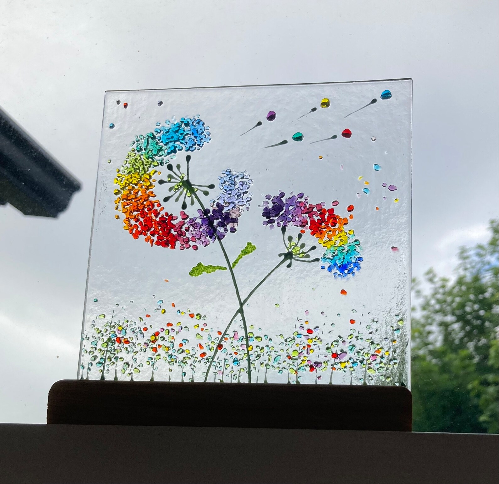 Make a Wish Rainbow Dandelion Clock Fused Glass Picture With Oak Stand ...