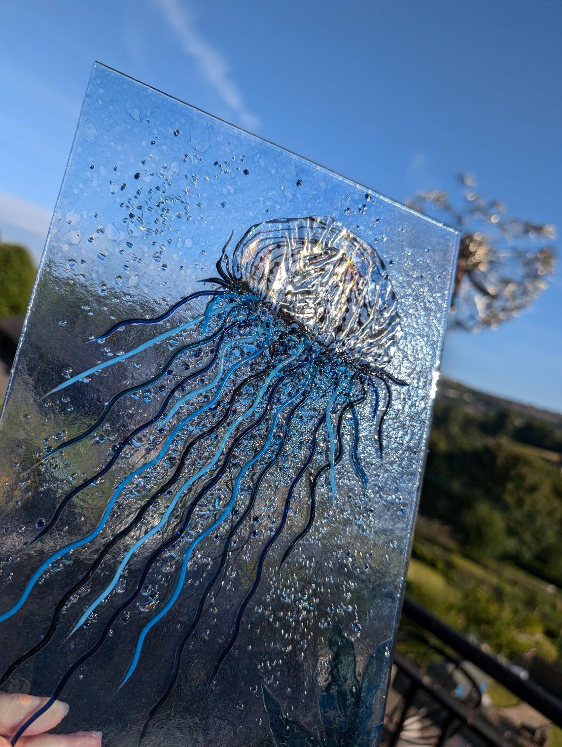Fused Glass 3D Textured Jellyfish Art Picture - Etsy