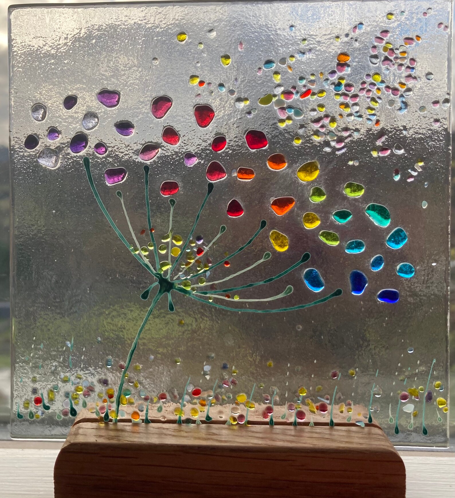 Cheerful Rainbow Allium Flower Fused Glass Art Picture Sun - Etsy