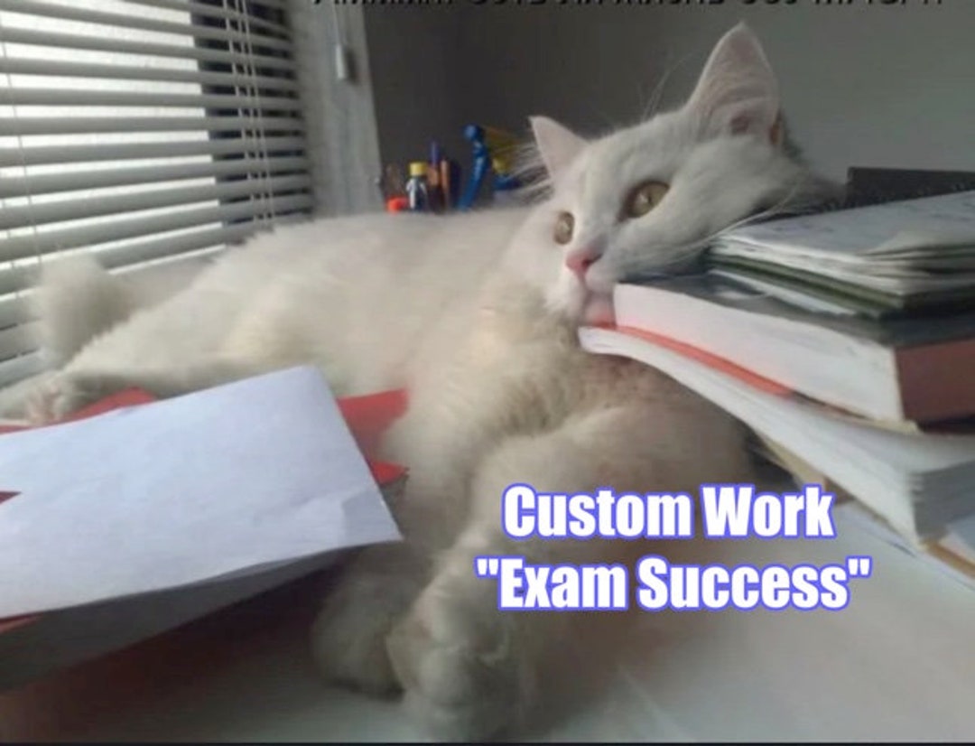 Custom Work exams & Study Success for Any Test or Exams Risk Free for ...