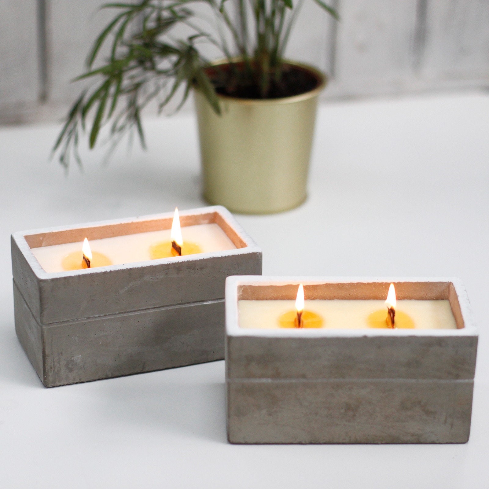 Clove & Dark Sandalwood - Large Rectangle Box Concrete Soy Candle with ...