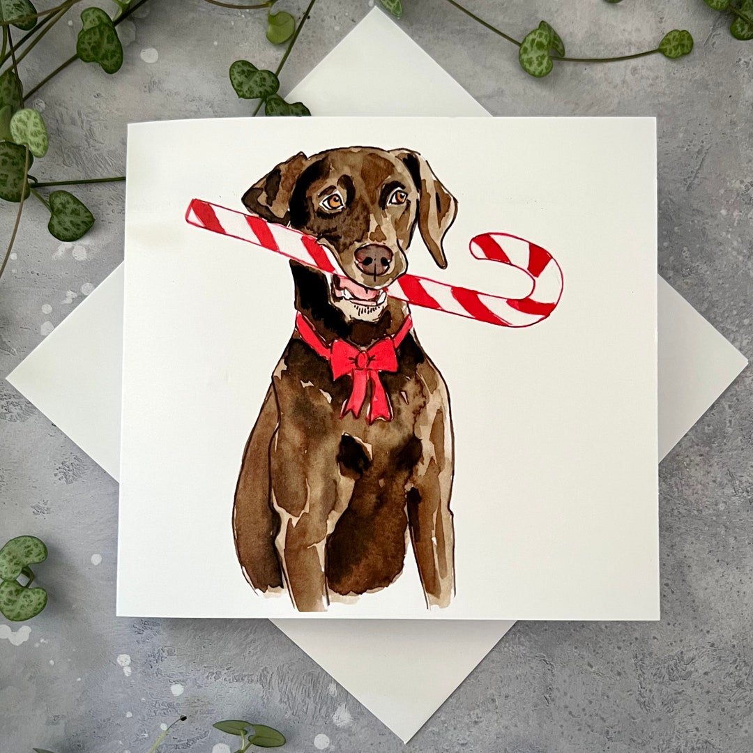 Chocolate Lab Card Christmas Labrador Card - Etsy