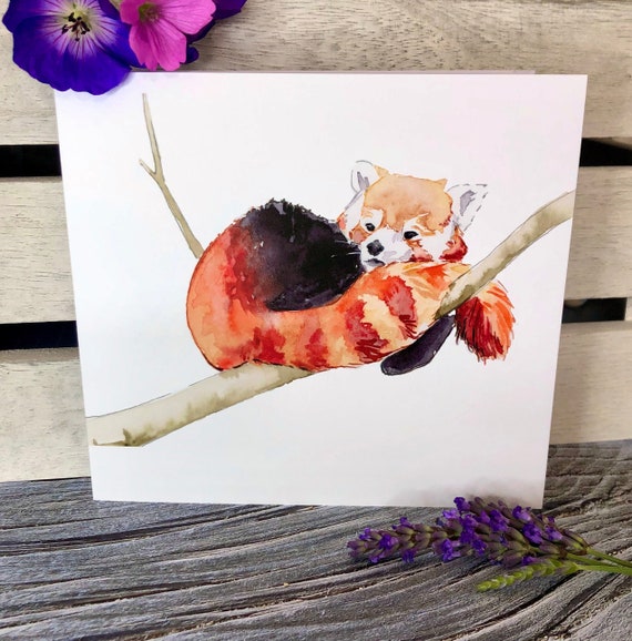 Cosy Red Panda Card - Etsy