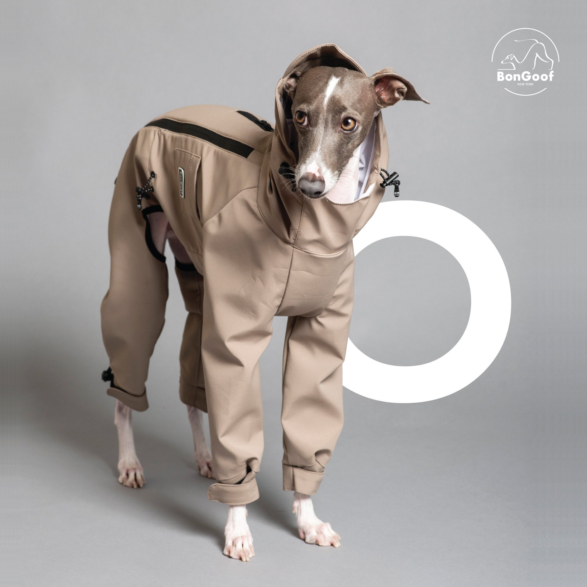 Bongoof Spacex Suit Twig Color : Italian Greyhound Iggy - Etsy