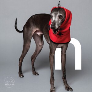 Bongoof SNUDDLE: Snood for Italian Greyhound, Whippet, Sighthounds Practical Weather Gear, Hight ...