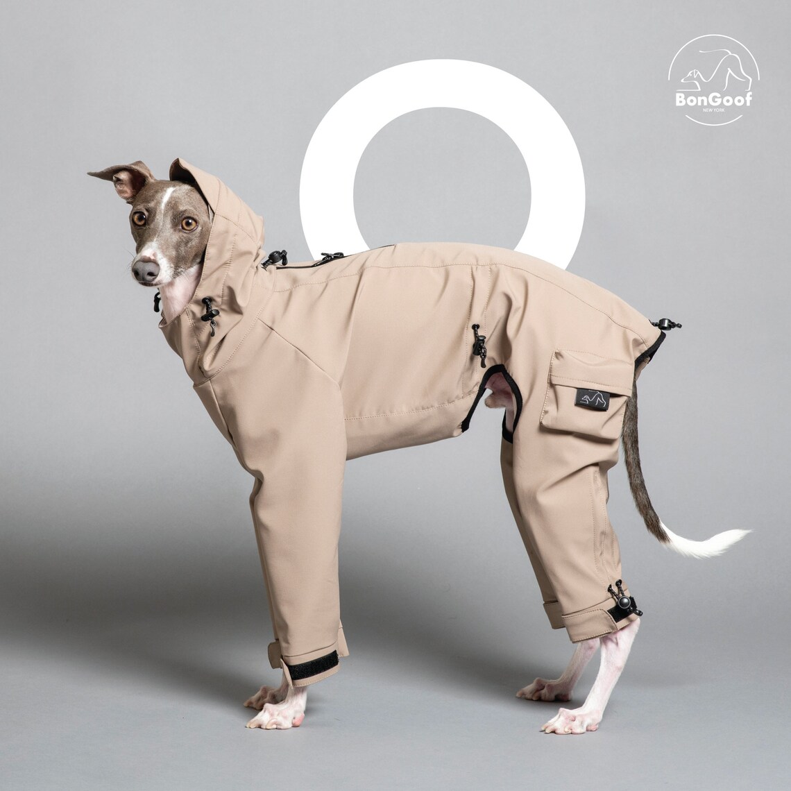 Bongoof Spacex Suit Twig Color : Italian Greyhound Iggy - Etsy