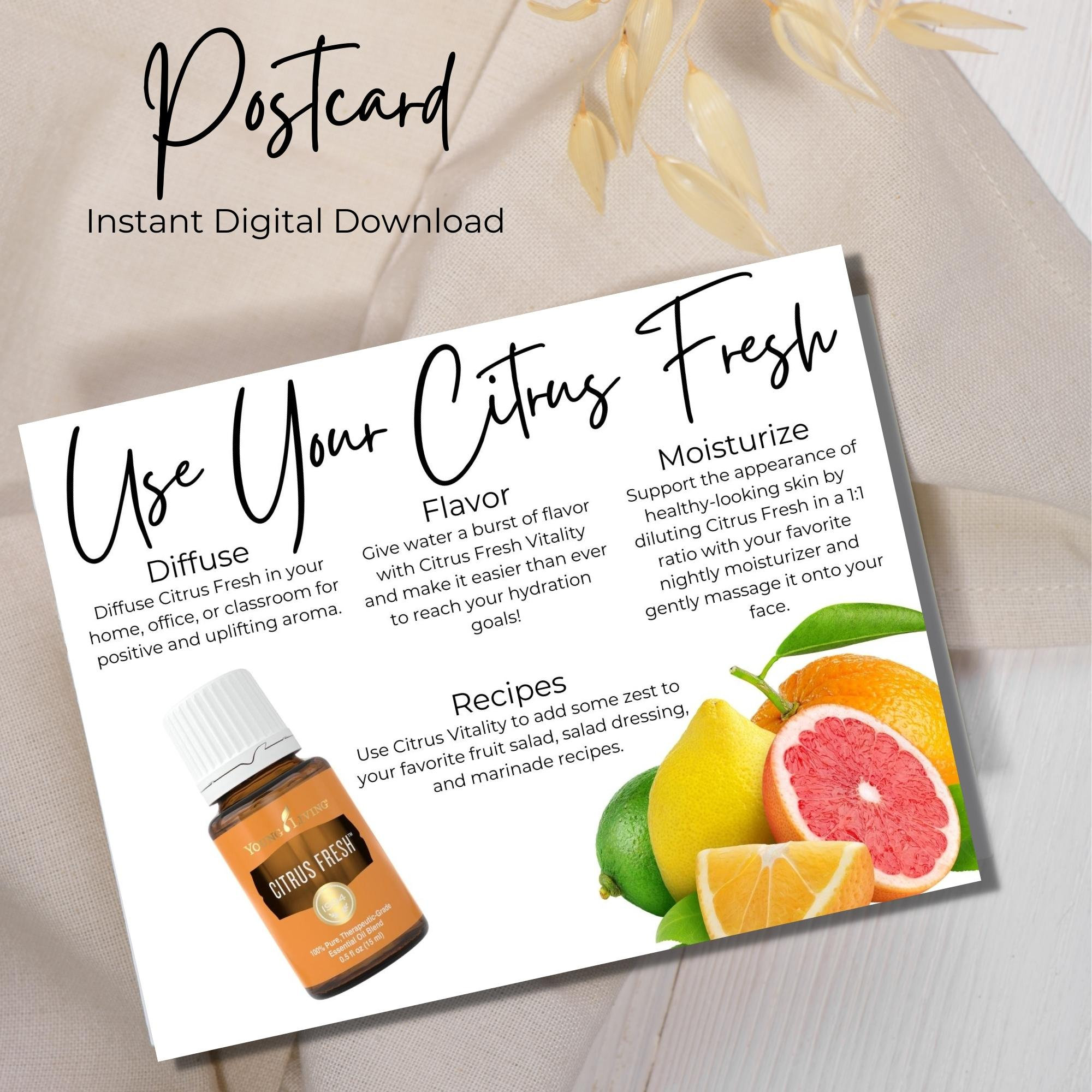 Premium Starter Kit Bundle Postcards Young Living, Set of 12 - Etsy