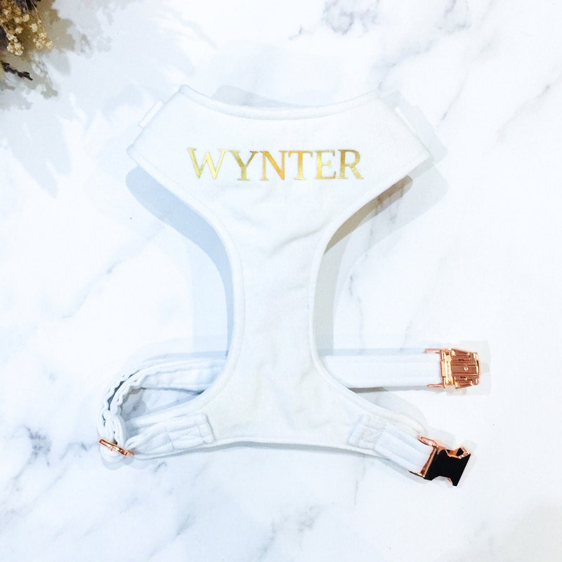 Wedding Dog Harness - Etsy