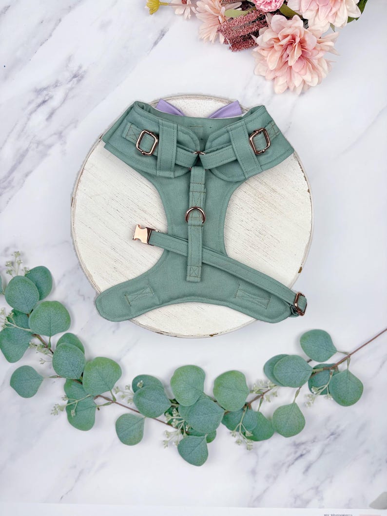 Bespoke Heritage Sage Green Dog Wedding Tuxedo Harness: Formal Dog Suit ...