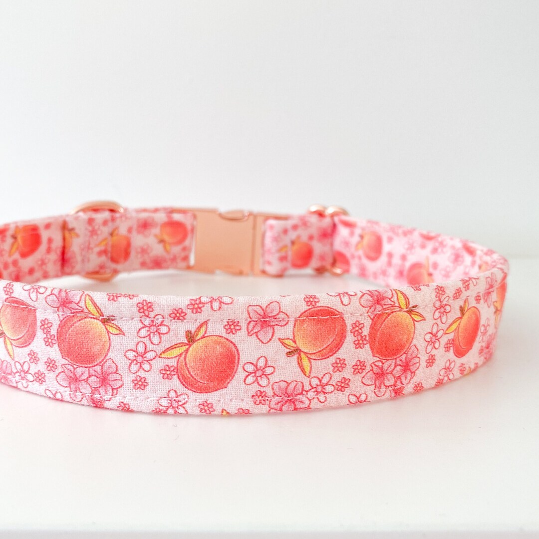 Summer Peach Dog Collar – Peachy Peaches Adjustable Dog Collar – Girl ...