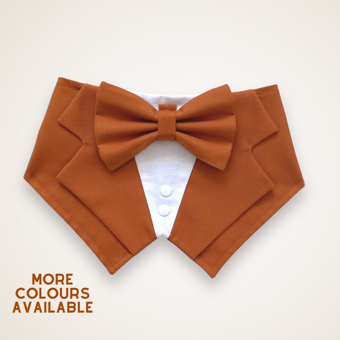 Terracotta Wedding Dog Tuxedo, Burnt Orange Wedding Pet Tuxedo Bandana ...