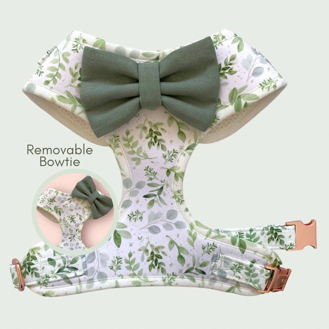 Eucalyptus Leaves Adjustable Pet Harness, Sage Eucalyptus Pet Harness ...