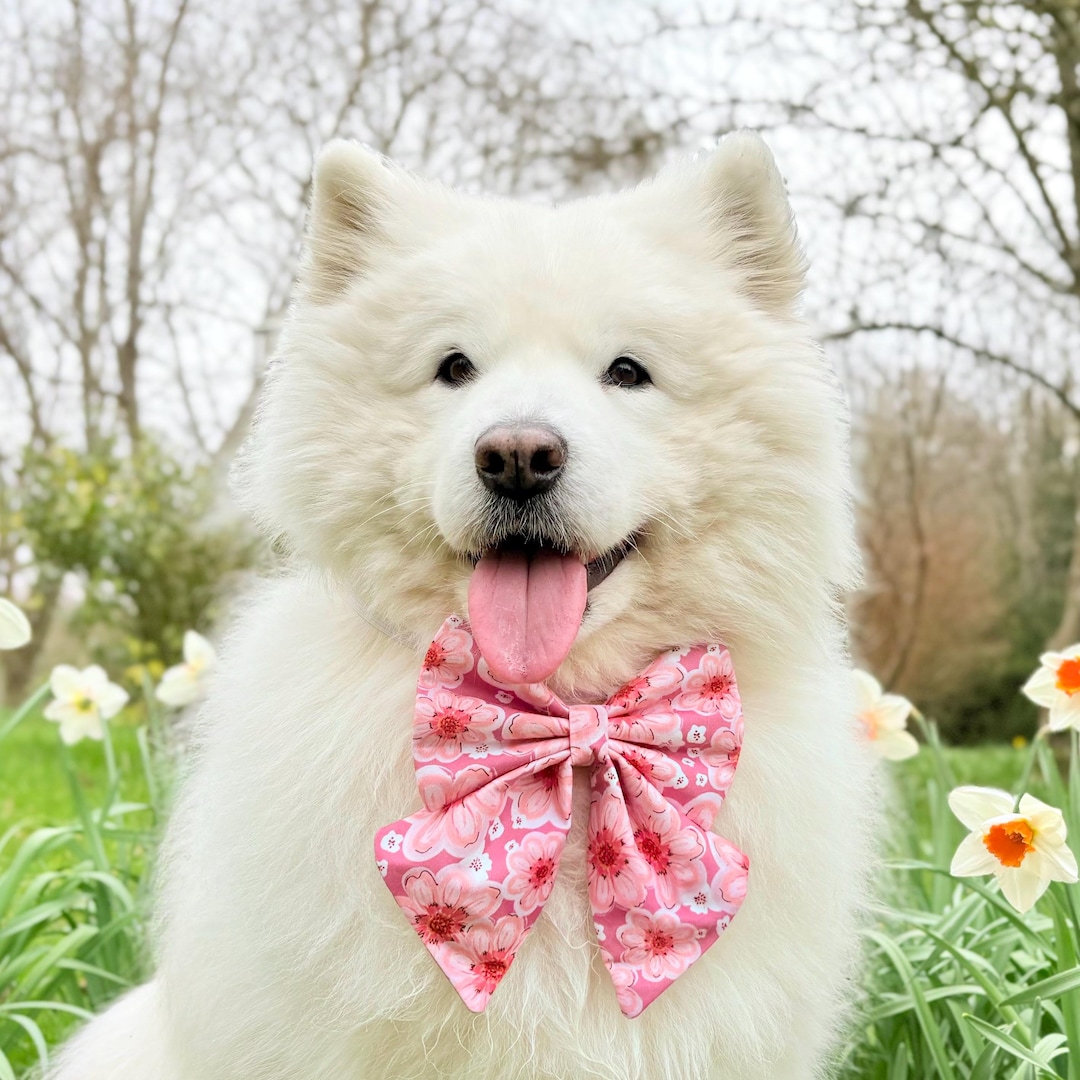 Pink Dahlia Flowers Dog Bow, Pink Floral Dog Bow, Available in Sailor ...