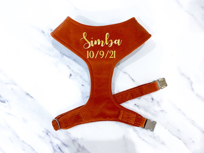 Rust / Cinnamon/ Burnt Orange Velvet Dog Harness Set – Leash ...