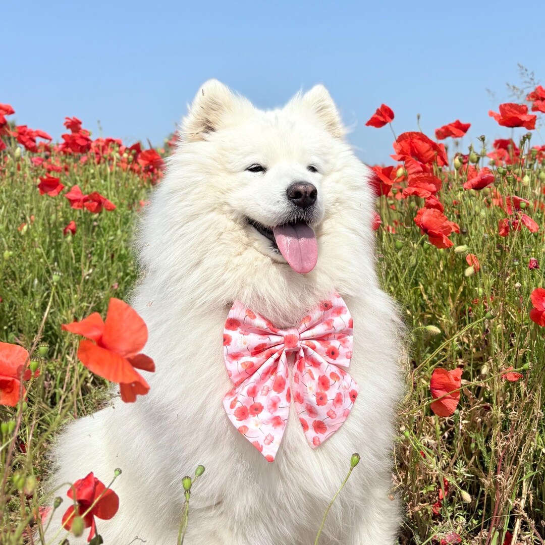 Pink Poppy Flower Dog Bow, Available in Bow Tie and Sailor Bow Styles ...