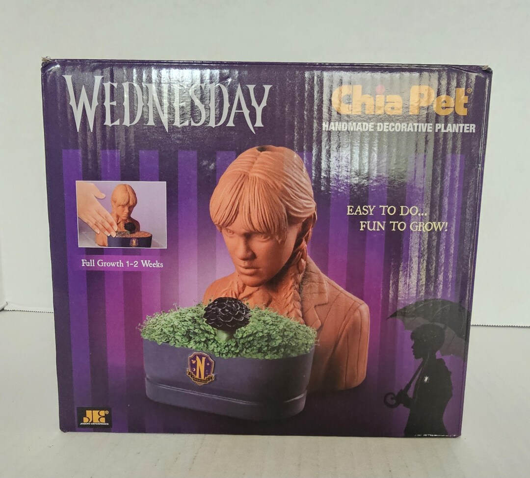Chia Pet Handmade Planter - Wednesday Addams - Etsy