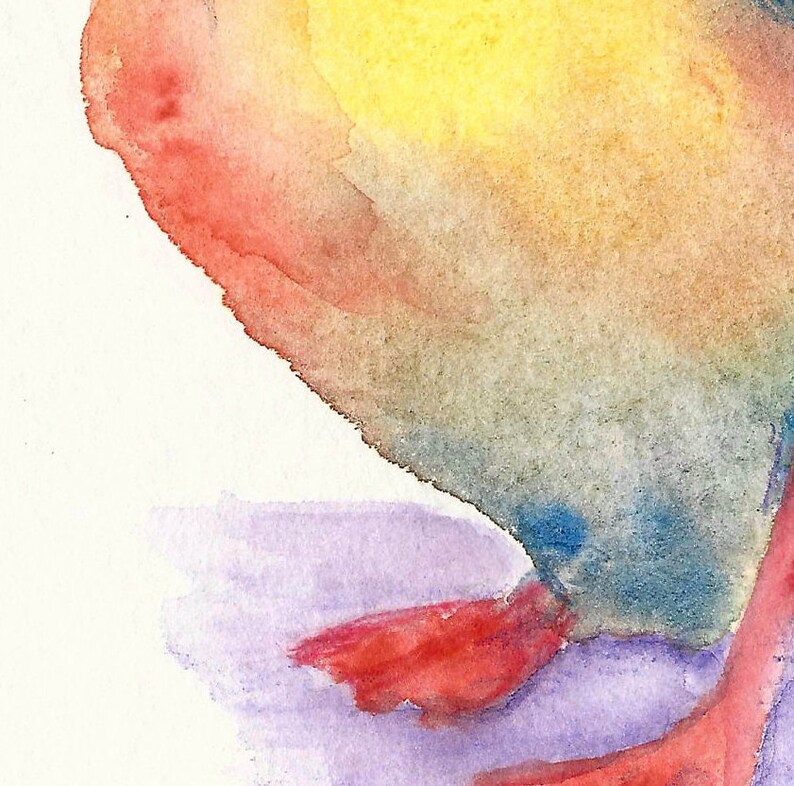 Colourful Watercolour Painting of a Duck. From My 'hello Ducky' Series ...