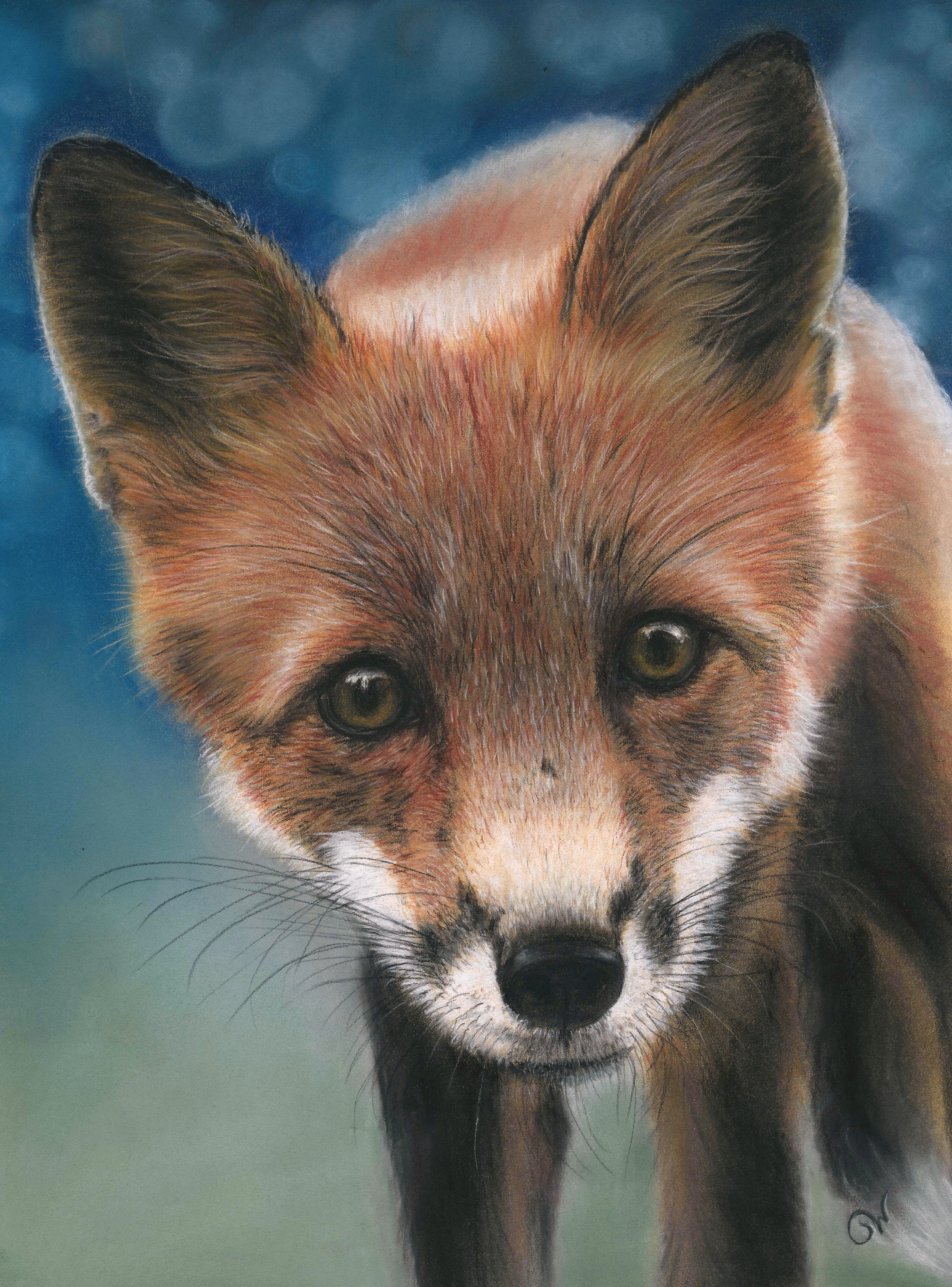 Original Pastel Painting of a Red Fox 'why Me' - Etsy
