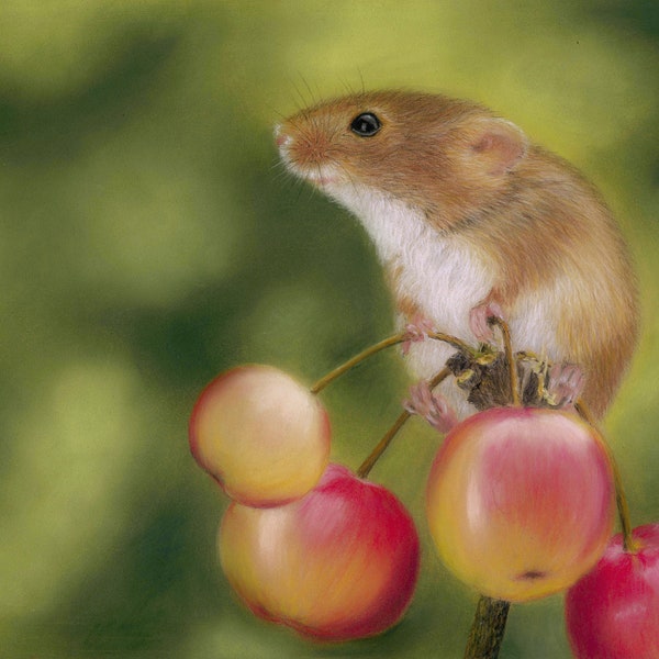 Mouse Painting - Etsy