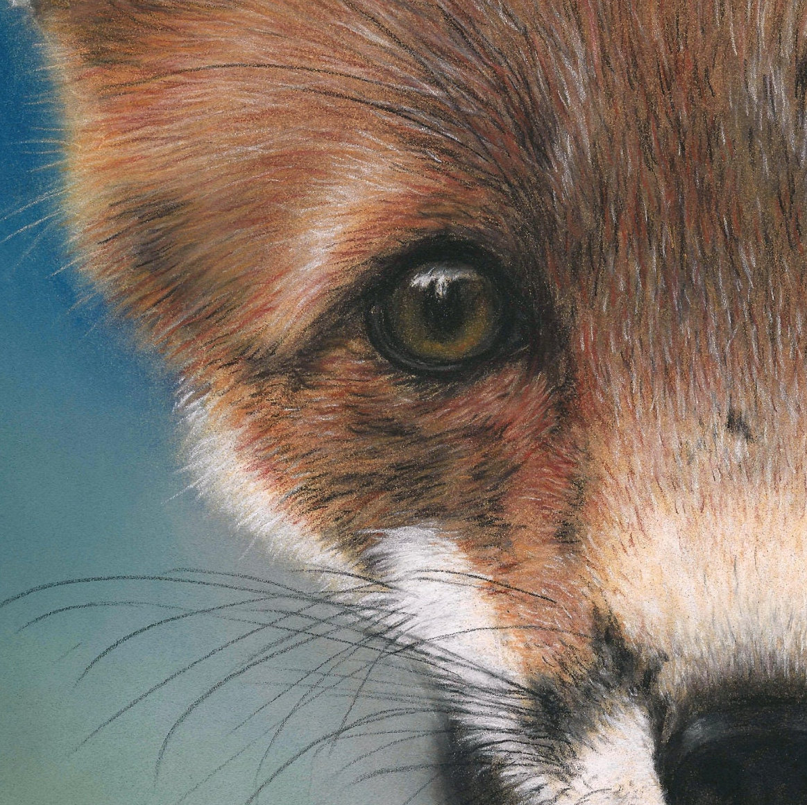 Original Pastel Painting of a Red Fox 'why Me' - Etsy