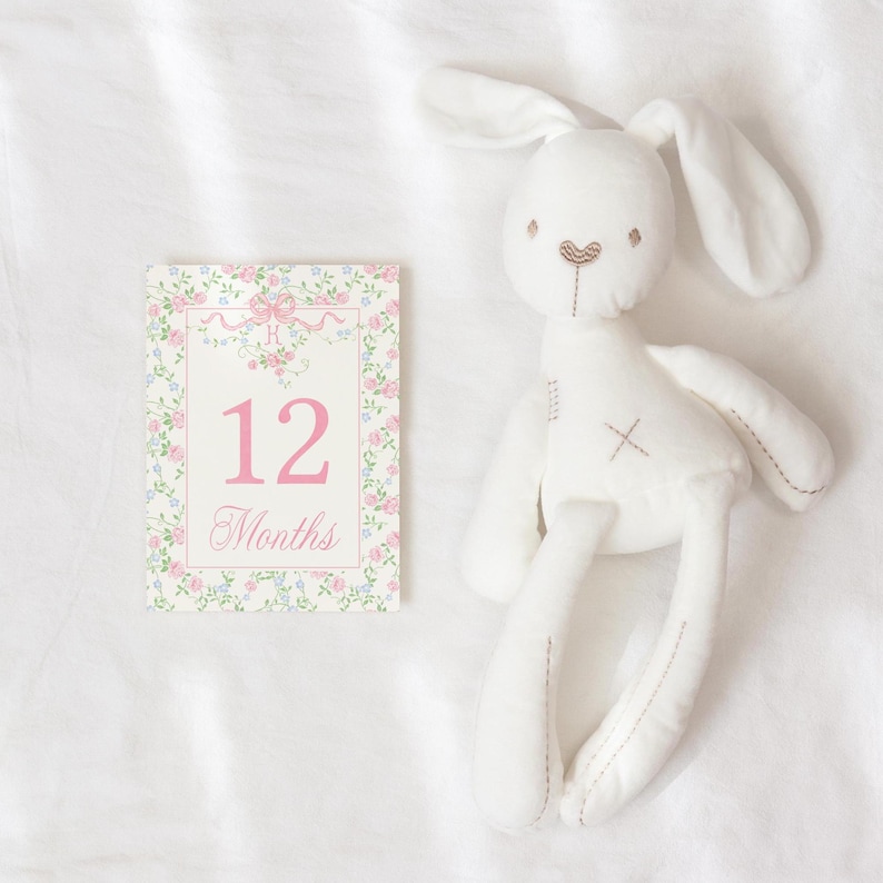 Printable Baby Girl Milestone Cards, Floral Vines Baby Month Signs ...