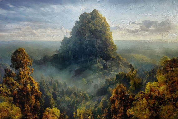 Lothlorien Lord Of The Rings