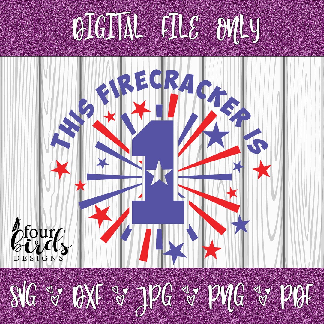 This Firecracker is One Digital File for Silhouette and Cricut (dxf ...