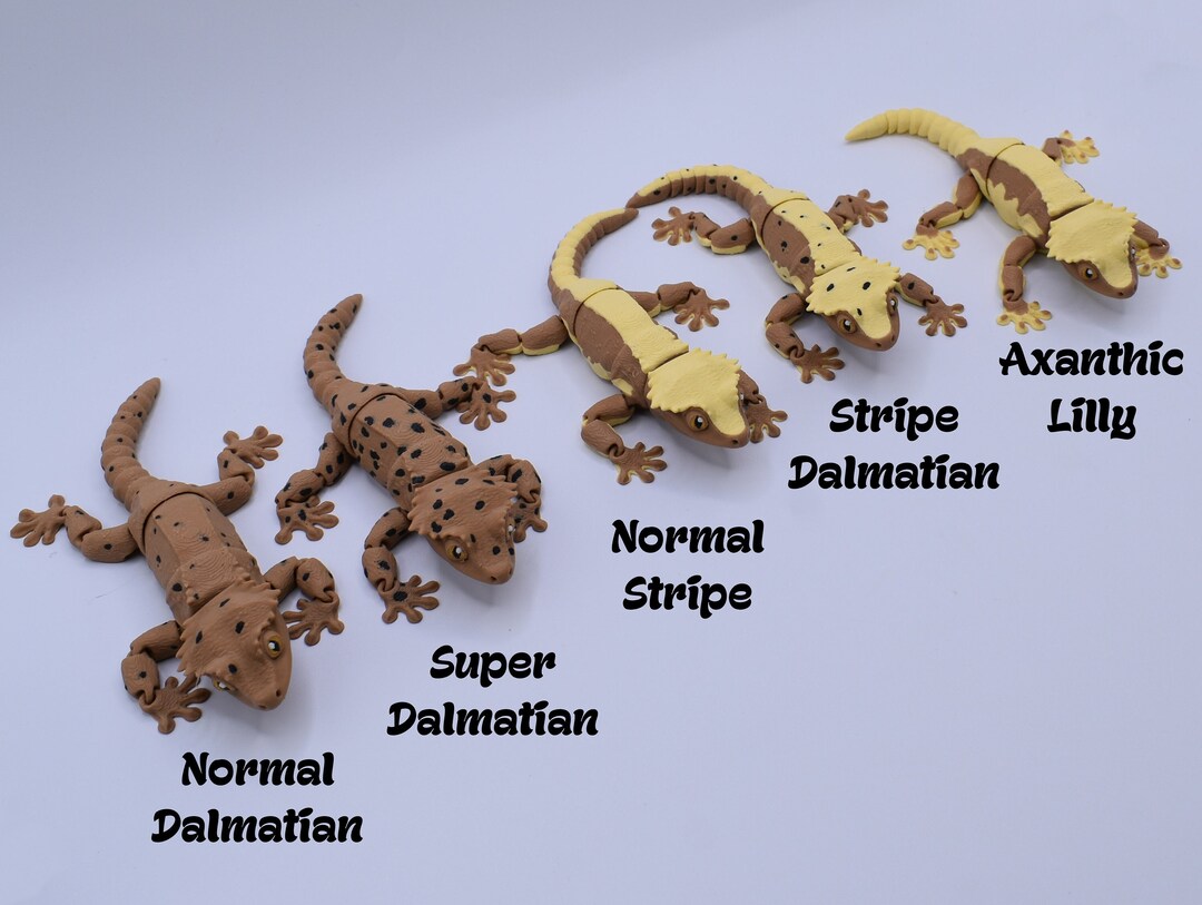 3D Flexi Crested Gecko Print - Etsy