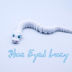 Flexi Baby Ball Python Morphs - 3D Printed - Etsy