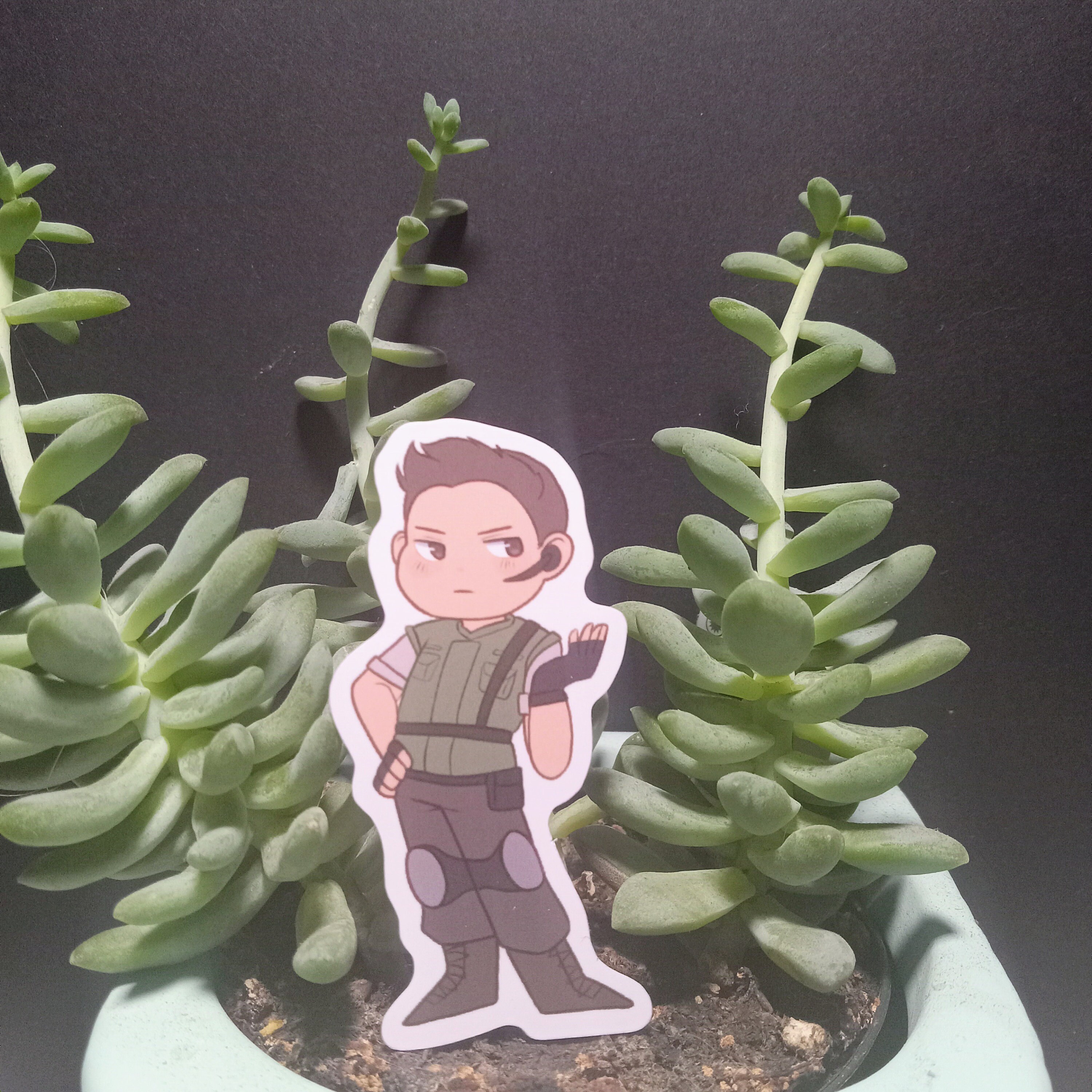 Resident Evil Stickers Leon S Kennedy, Chris Redfield, and More 2.5 ...