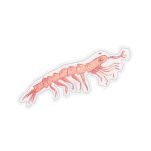 Krill Sticker - Etsy