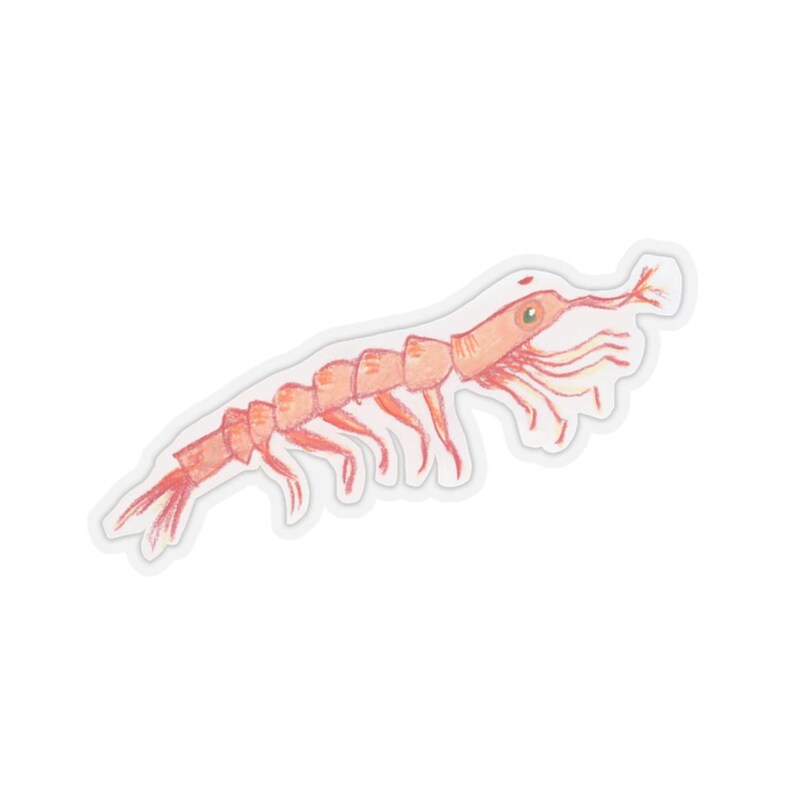 Krill Sticker - Etsy