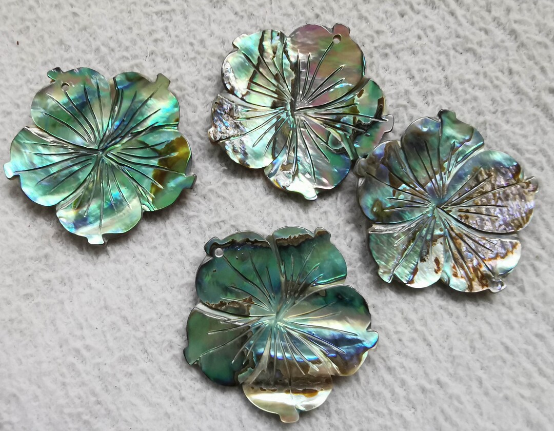Drilled-large Genuine Abalone Paua Shell 28-60mm Carved Petal Plumeria ...
