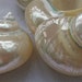 Large Rainbow Shell Troca Spiral Moonlight Conch Shells Natural White ...