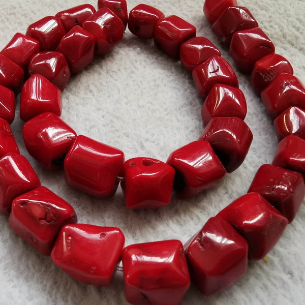 Red Sea Coral - Etsy