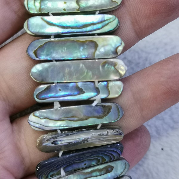 Blue Abalone Shell - Etsy