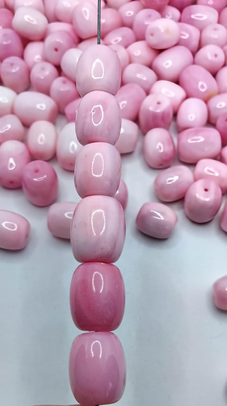 Natural Pink Queen Conch Shell Beads for Jewelry Making (6-16mm) - Etsy