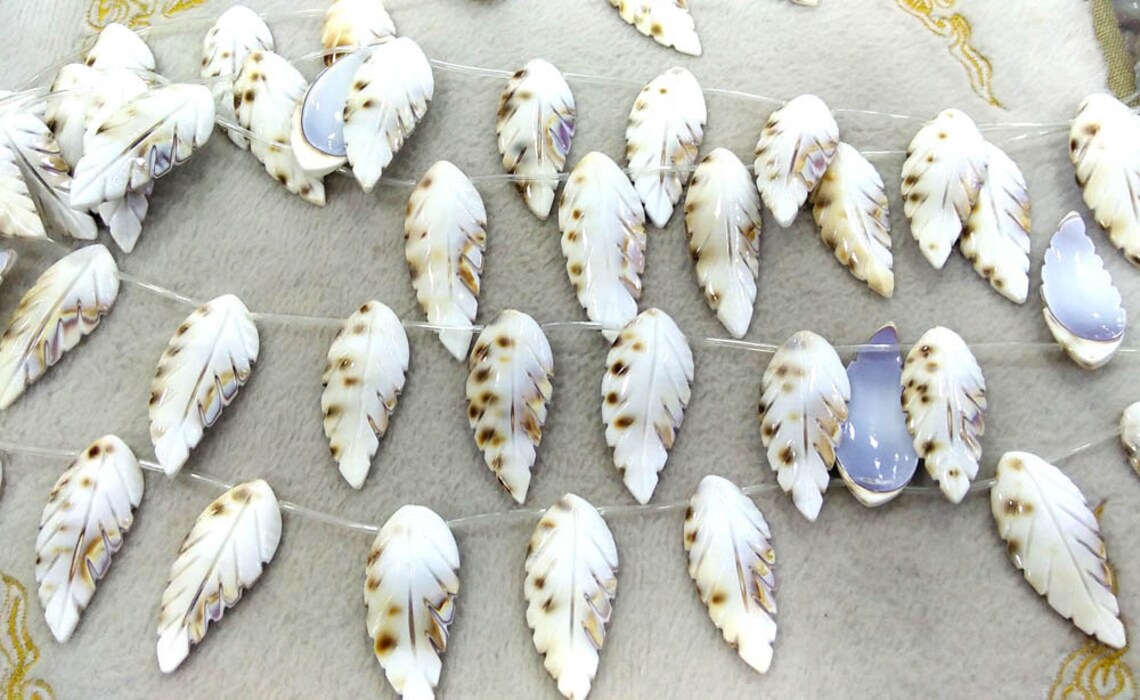 Natural Sea Shell Carved Leaf 13x 45mm 16'' Strand - Etsy
