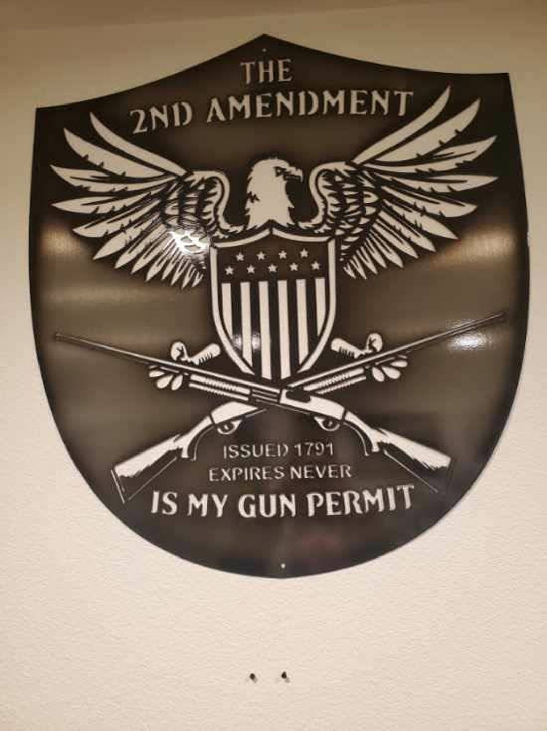The 2nd Amendment is My Gun Permit Metal Sign, 2nd Amendment, Wall ...