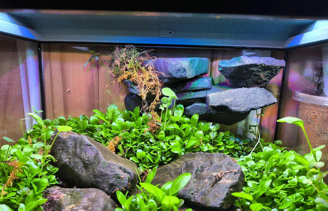 3D Printed Reptile Terrarium Background Stone Hide Kit - Etsy