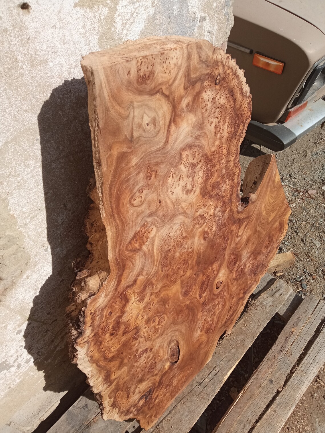Burl slab elm burl wood slab table top Living edge wood | Etsy